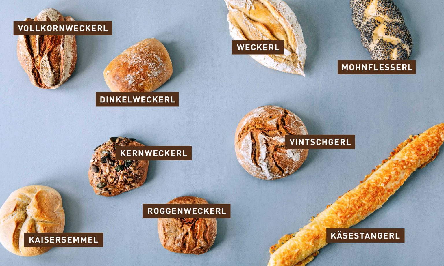 Wiener Brot – Produkte klein | Wienerbrot